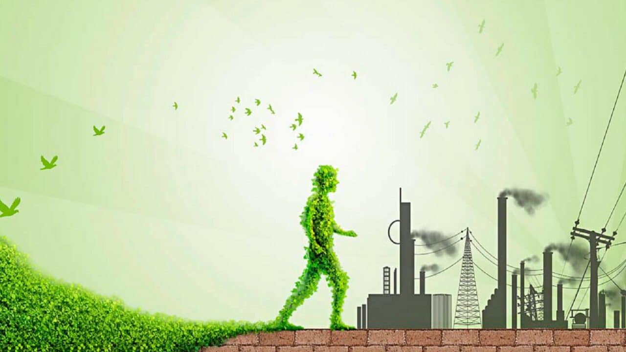 How Can Ecology Units Help Improve Air Quality?
